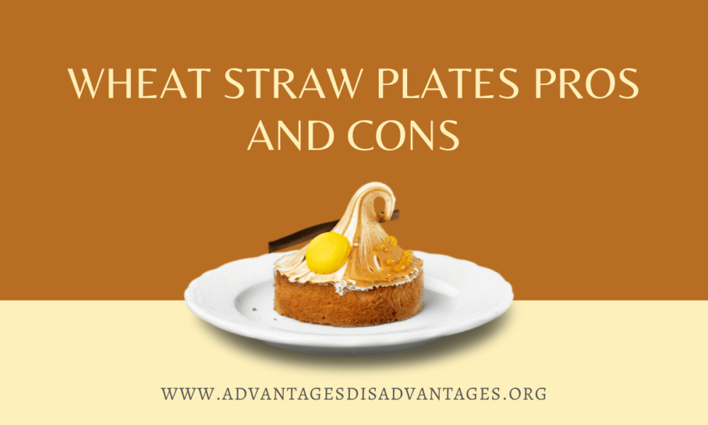 Wheat Straw Plates Pros And Cons A Comprehensive Overview Pros Cons